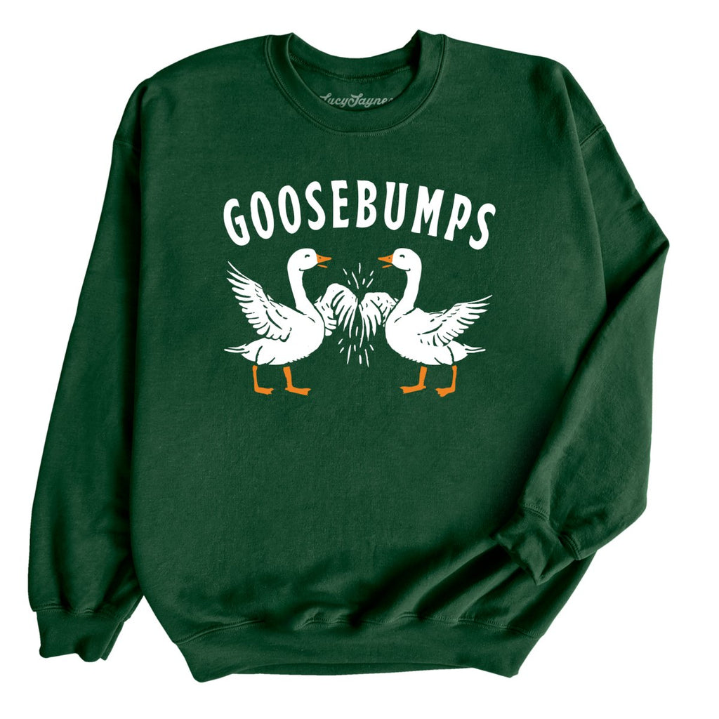 Goosebumps Sweatshirt – Lucy Jaynes